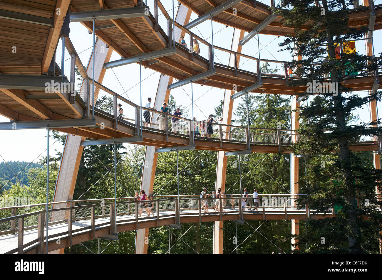 The world´s longest tree top walk - Tree Tower - Bavarian Forest ...