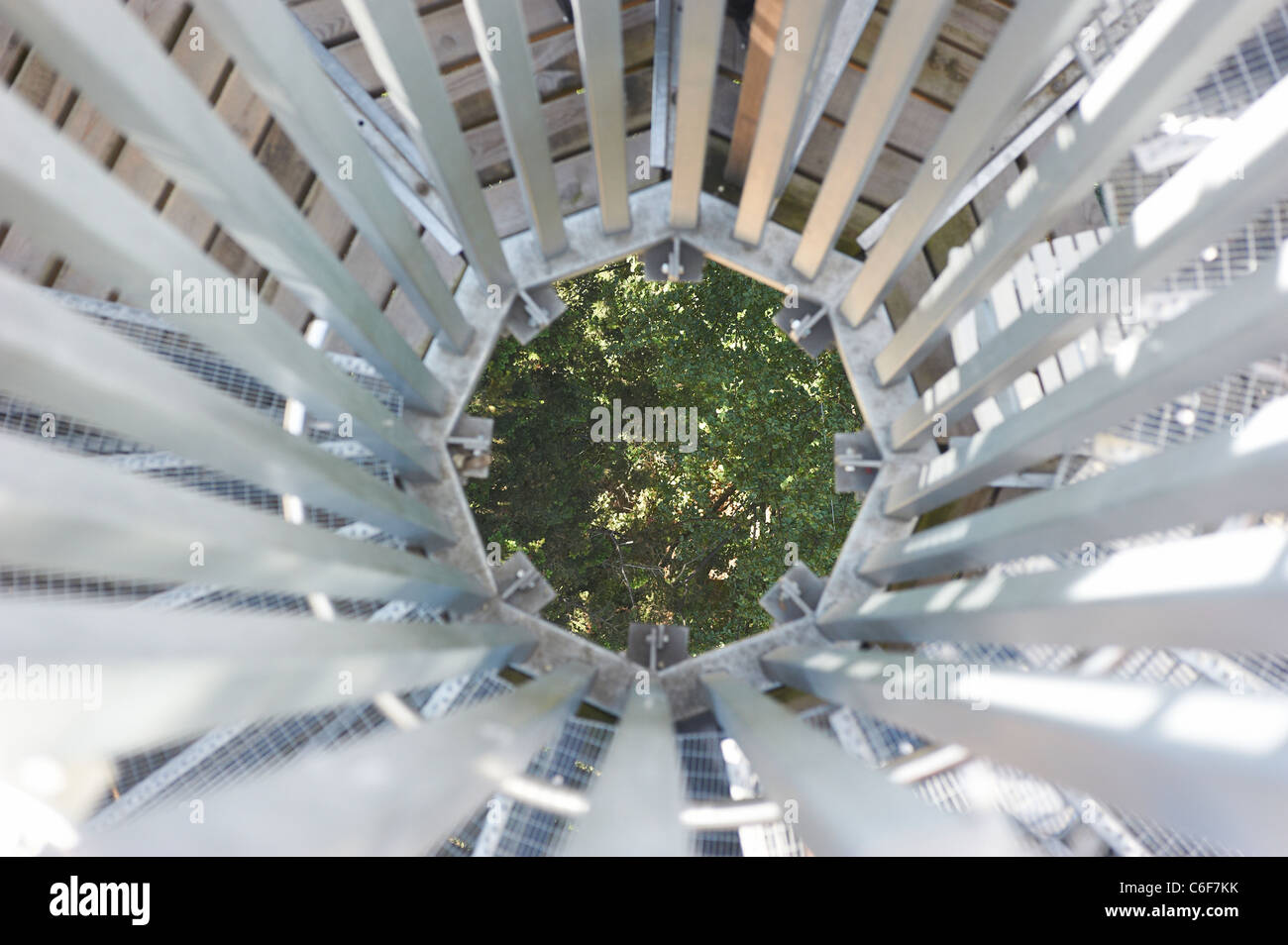 The world´s longest tree top walk - Tree Tower - Bavarian Forest ...