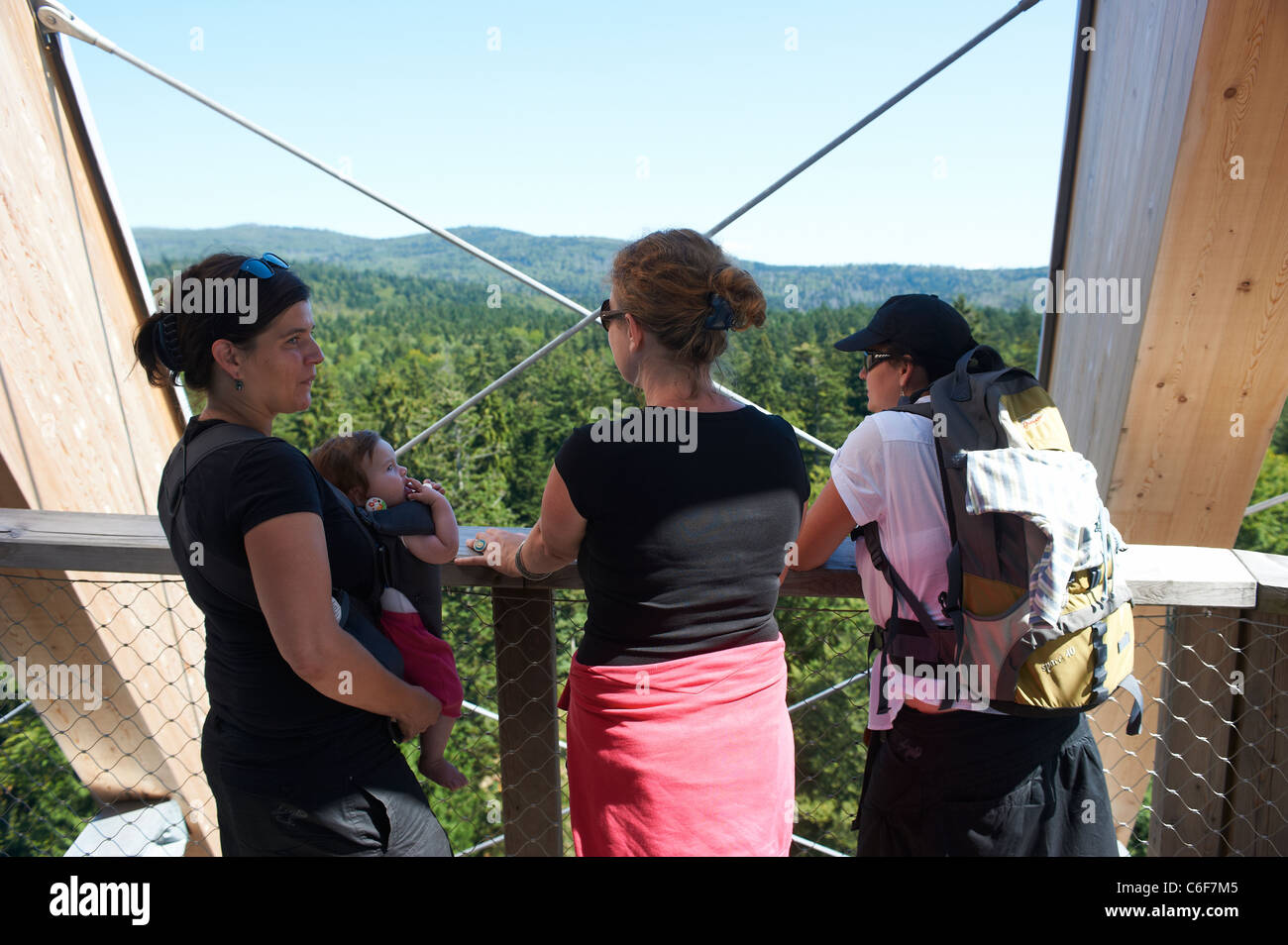 The world´s longest tree top walk - Tree Tower - Bavarian Forest ...