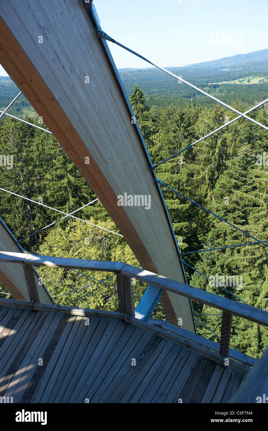 The world´s longest tree top walk - Tree Tower - Bavarian Forest ...