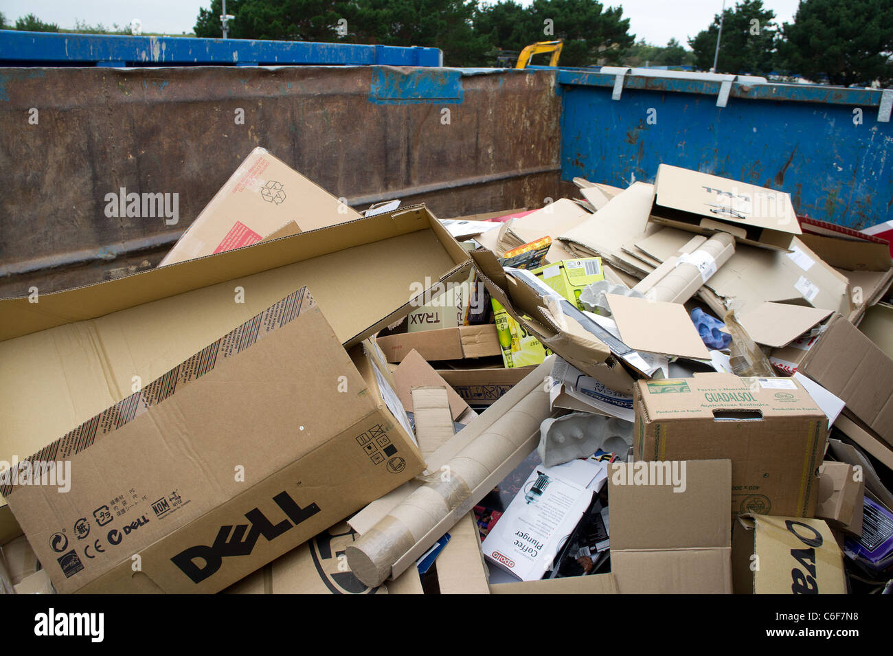 Cardboard in a skip at a recycling center in Redruth, Cornwall, UK ...