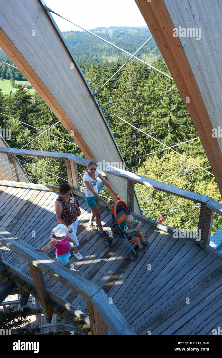 The world´s longest tree top walk - Tree Tower - Bavarian Forest ...