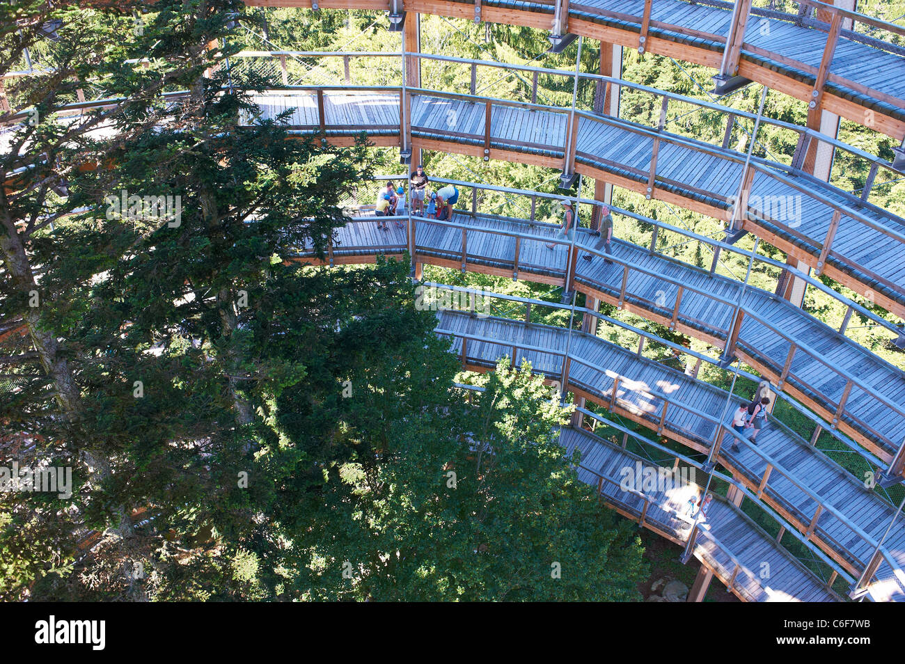 The world´s longest tree top walk - Tree Tower - Bavarian Forest ...