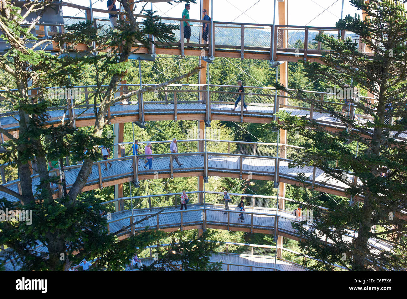 The world´s longest tree top walk - Tree Tower - Bavarian Forest ...
