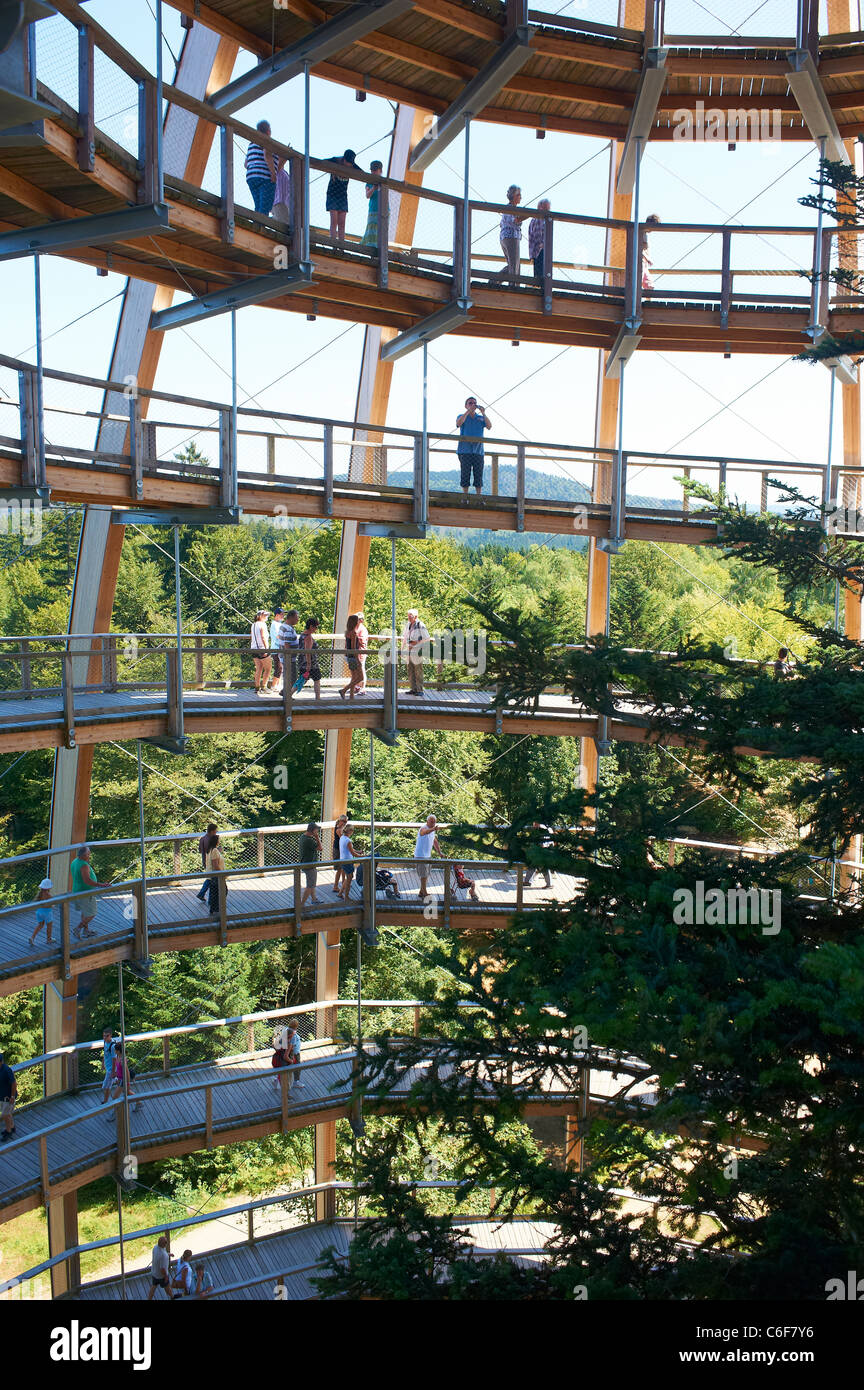 The world´s longest tree top walk - Tree Tower - Bavarian Forest ...