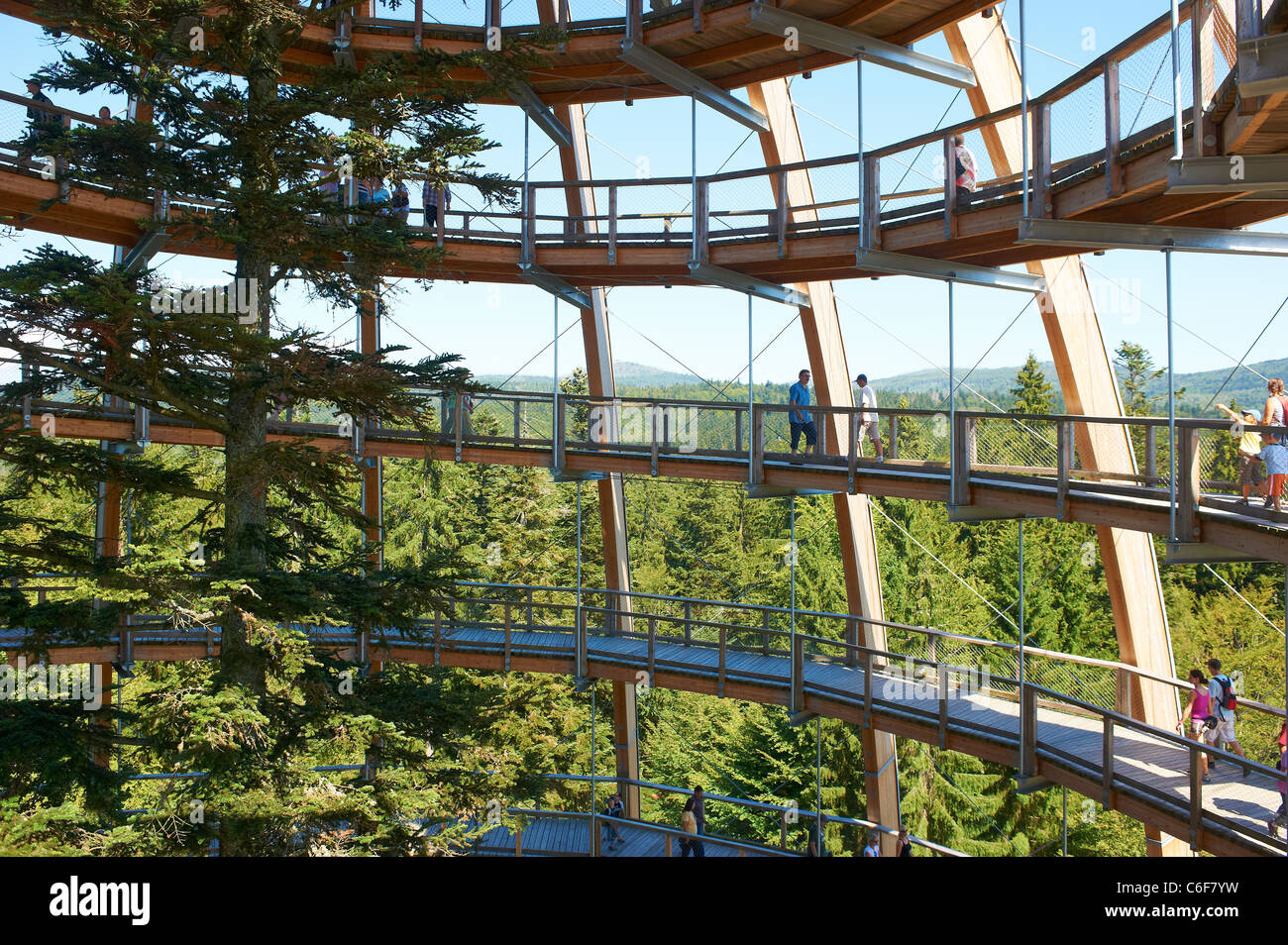 The world´s longest tree top walk - Tree Tower - Bavarian Forest ...