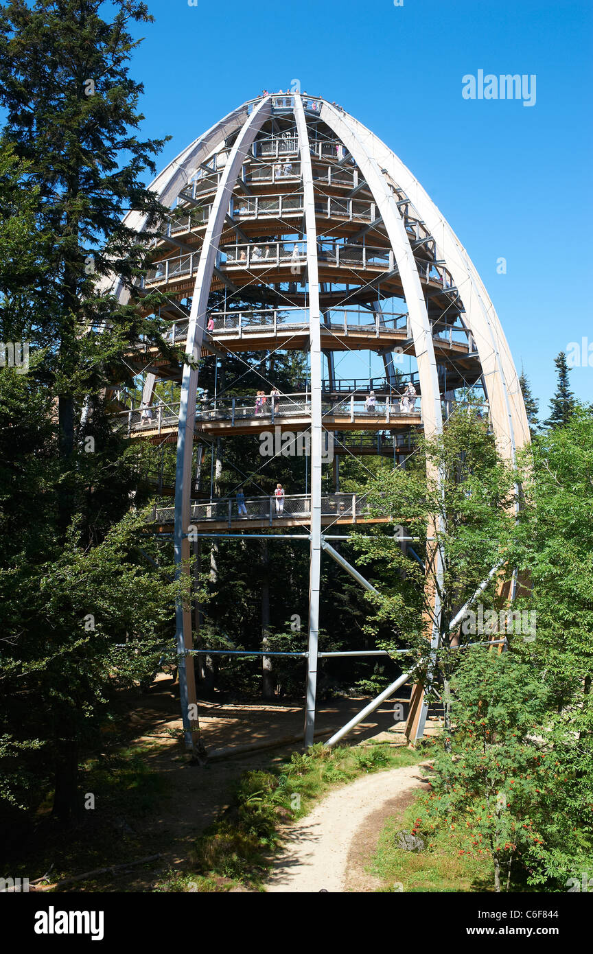 The world´s longest tree top walk - Tree Tower - Bavarian Forest ...