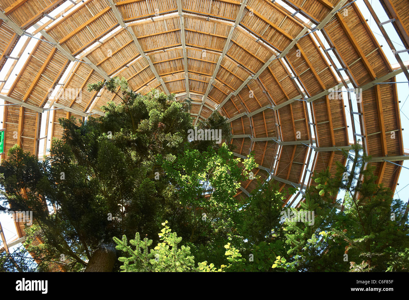 The world´s longest tree top walk - Tree Tower - Bavarian Forest ...