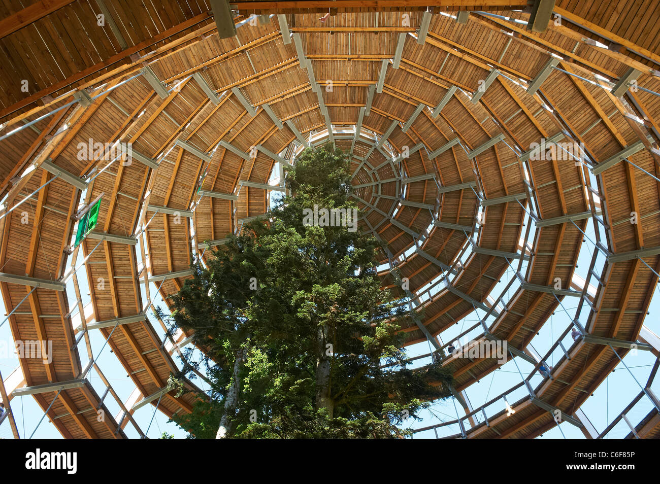 The world´s longest tree top walk - Tree Tower - Bavarian Forest ...