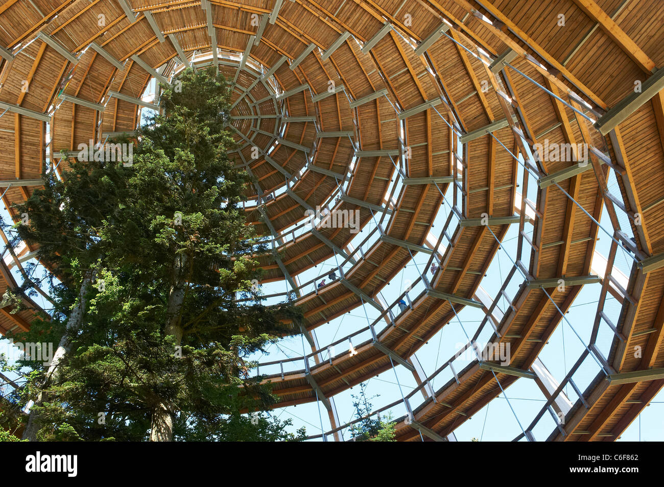 The world´s longest tree top walk - Tree Tower - Bavarian Forest ...
