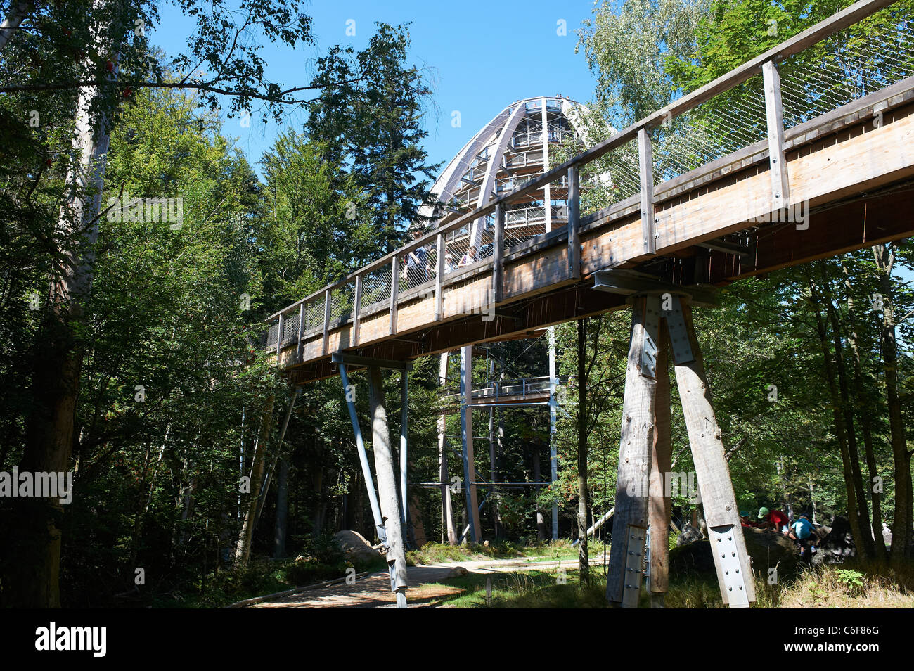 The world´s longest tree top walk - Tree Tower - Bavarian Forest ...
