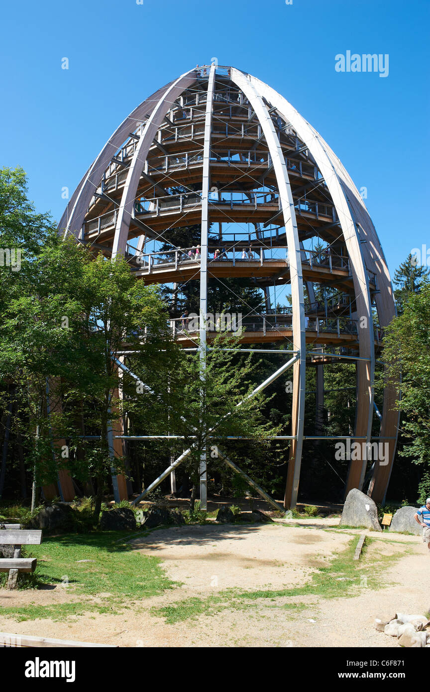 The world´s longest tree top walk - Tree Tower - Bavarian Forest ...