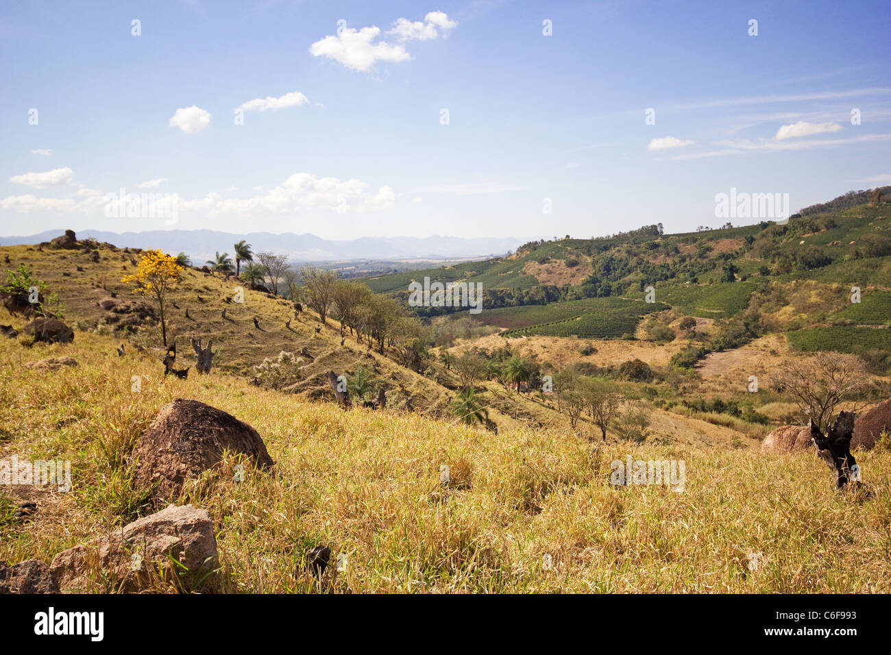 Brazil countryside hi-res stock photography and images - Alamy