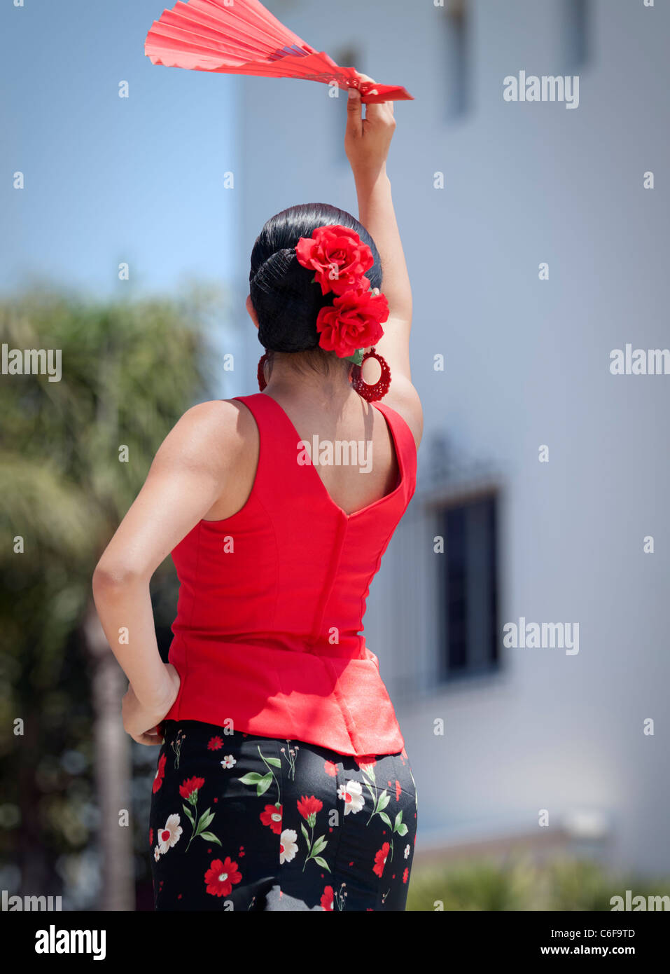 Flamenco spain pose hi-res stock photography and images - Alamy