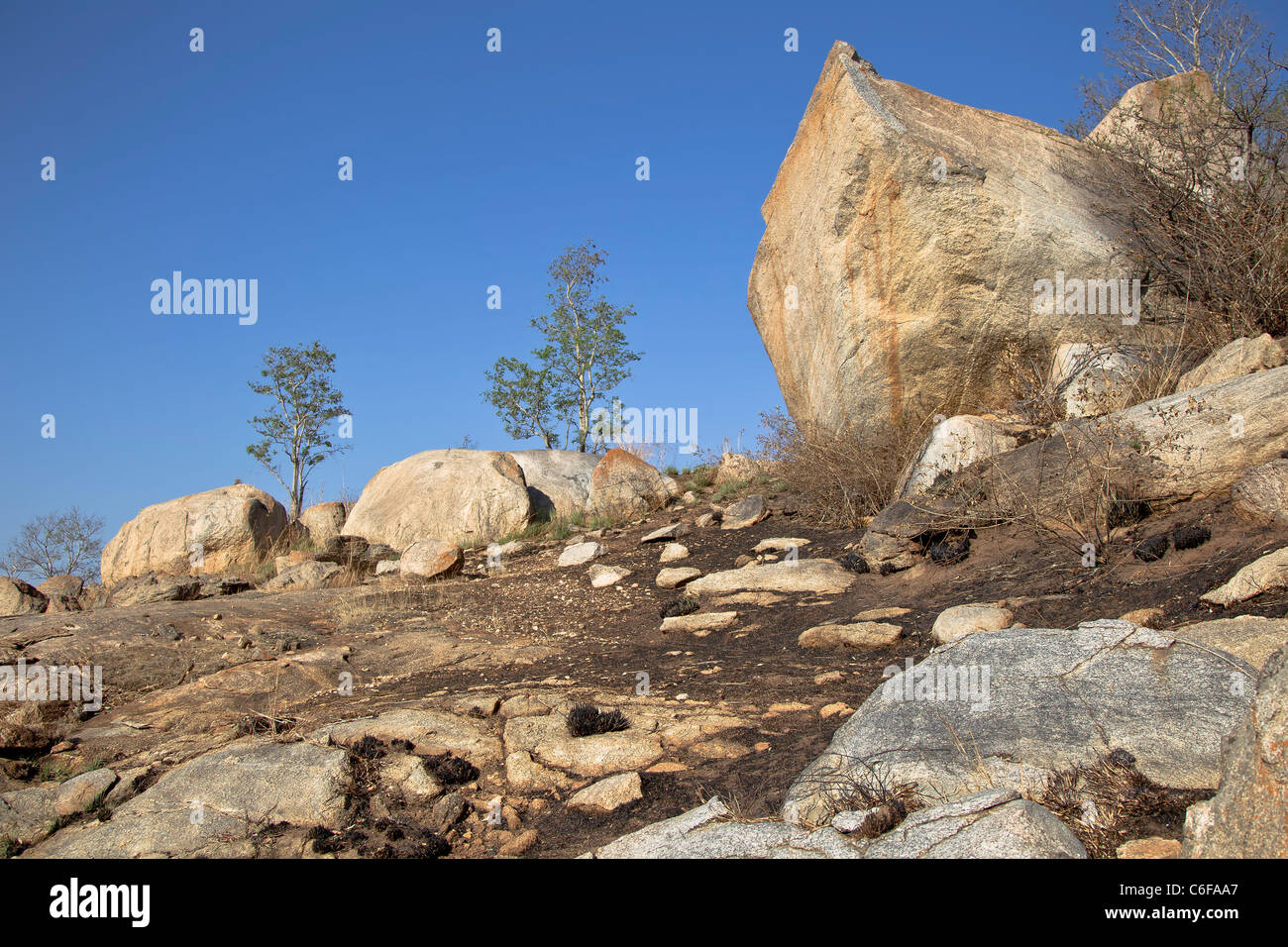 Large path hi-res stock photography and images - Alamy