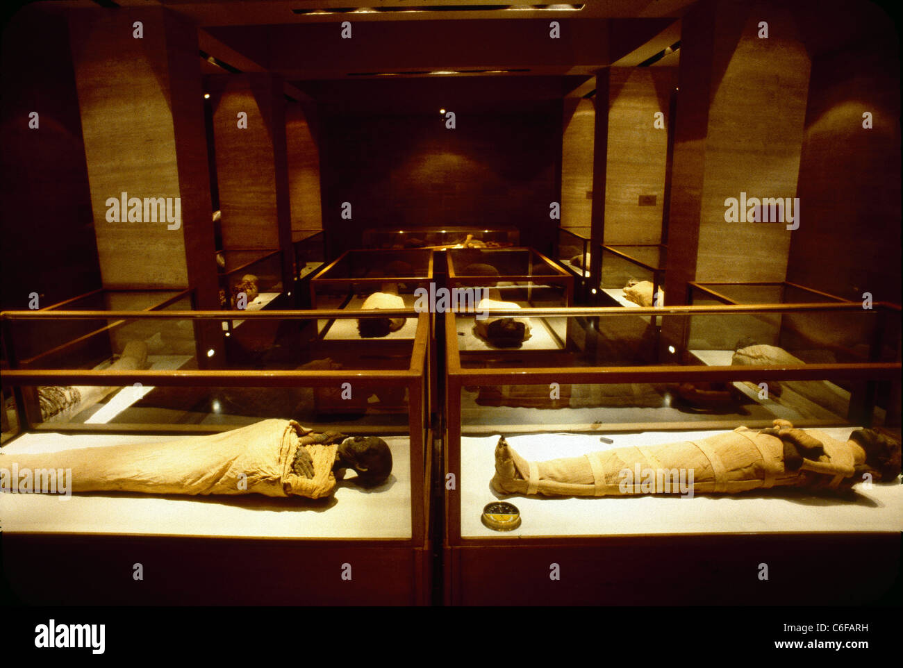 Cairo museum mummy hi-res stock photography and images - Alamy