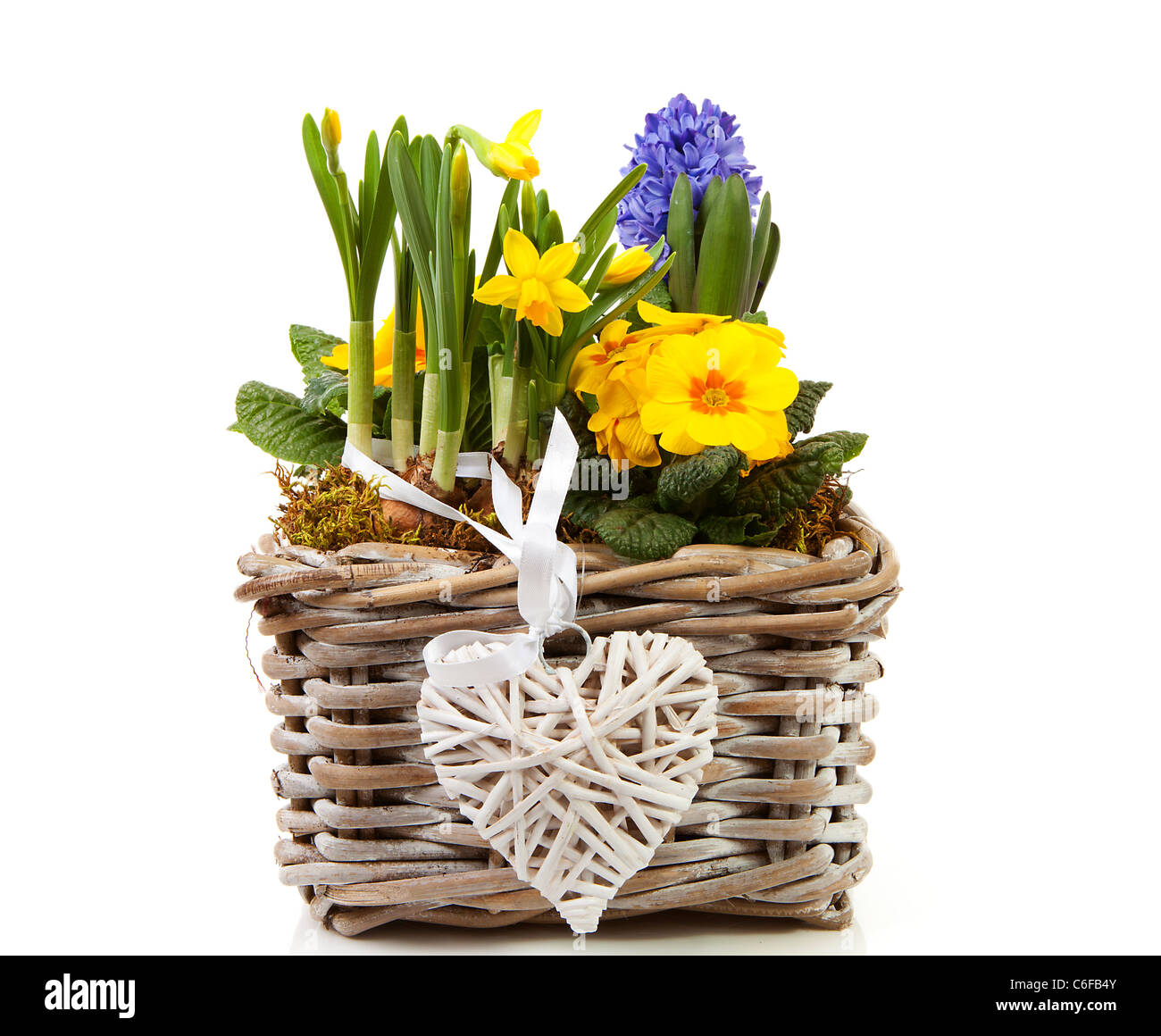 Basket spring flowers over white background Stock Photo - Alamy