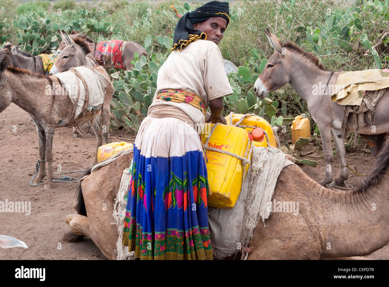 An Oromo tribeswoman collecting water at a well in the Chercher ...