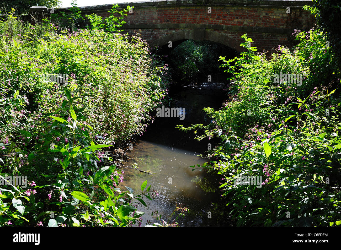 Babbling Brook High Resolution Stock Photography and Images - Alamy