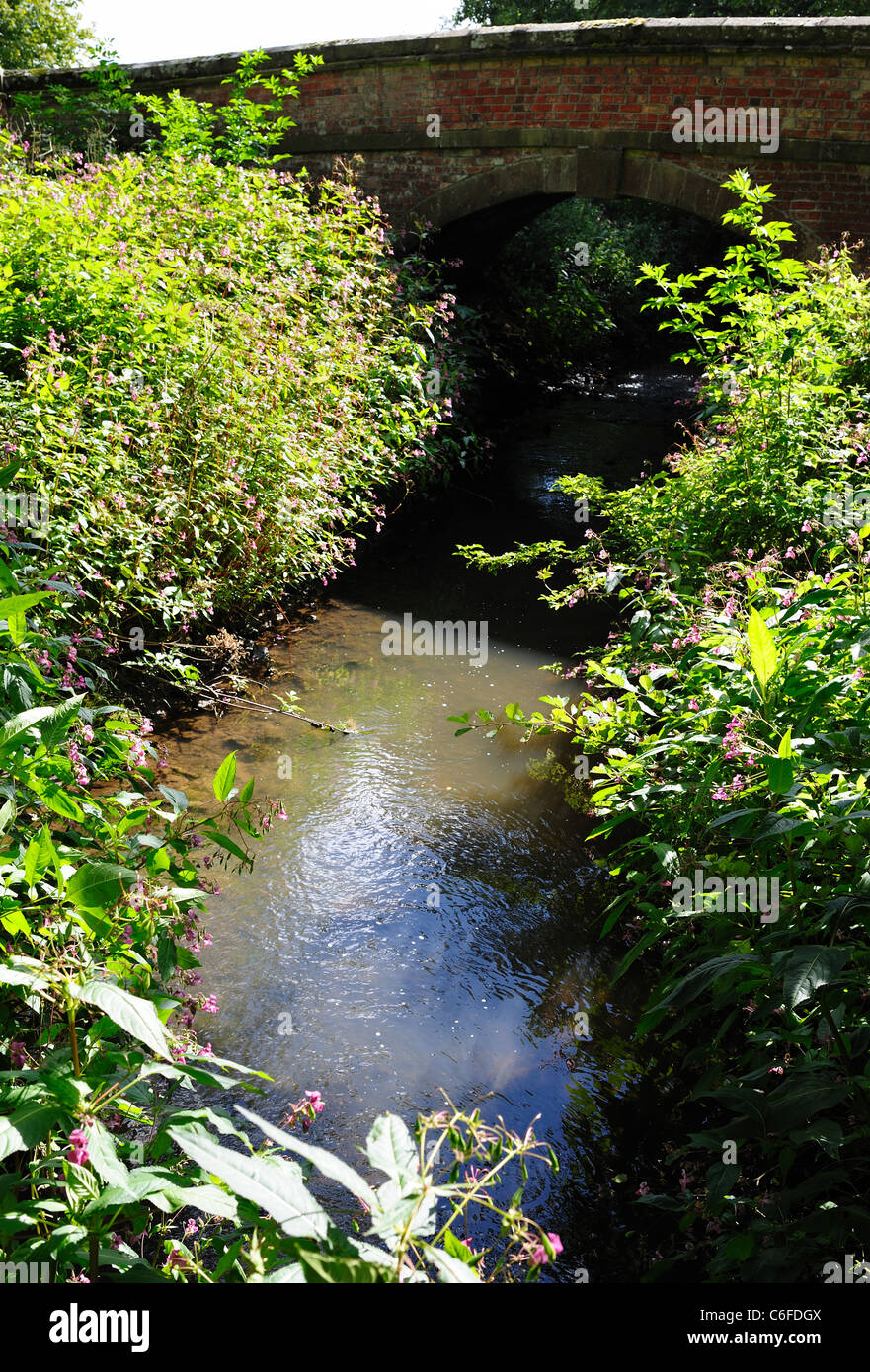 Babbling brook hi-res stock photography and images - Alamy