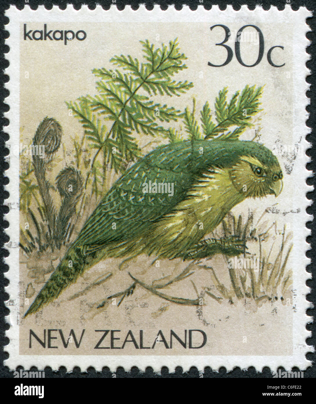 NEW ZEALAND - 1986: A stamp printed in New Zealand, shows a bird Kakapo ...