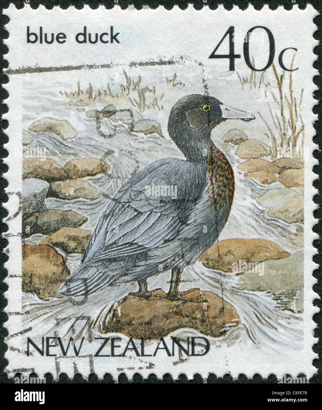 NEW ZEALAND - 1987: A stamp printed in New Zealand, shows a bird Blue ...