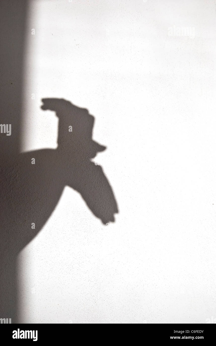 Shadow profile hi-res stock photography and images - Alamy