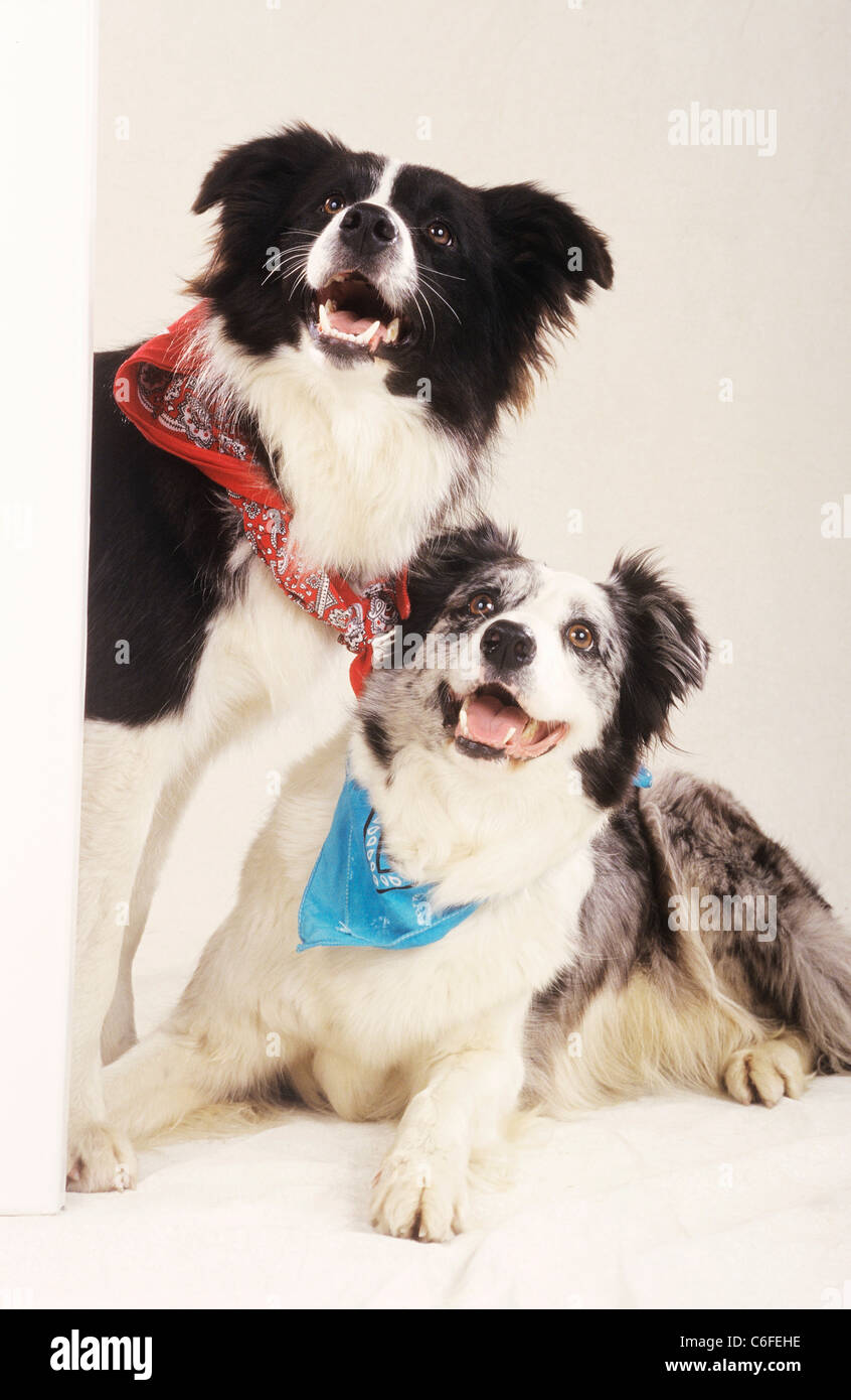 2 border hi-res stock photography and images - Alamy