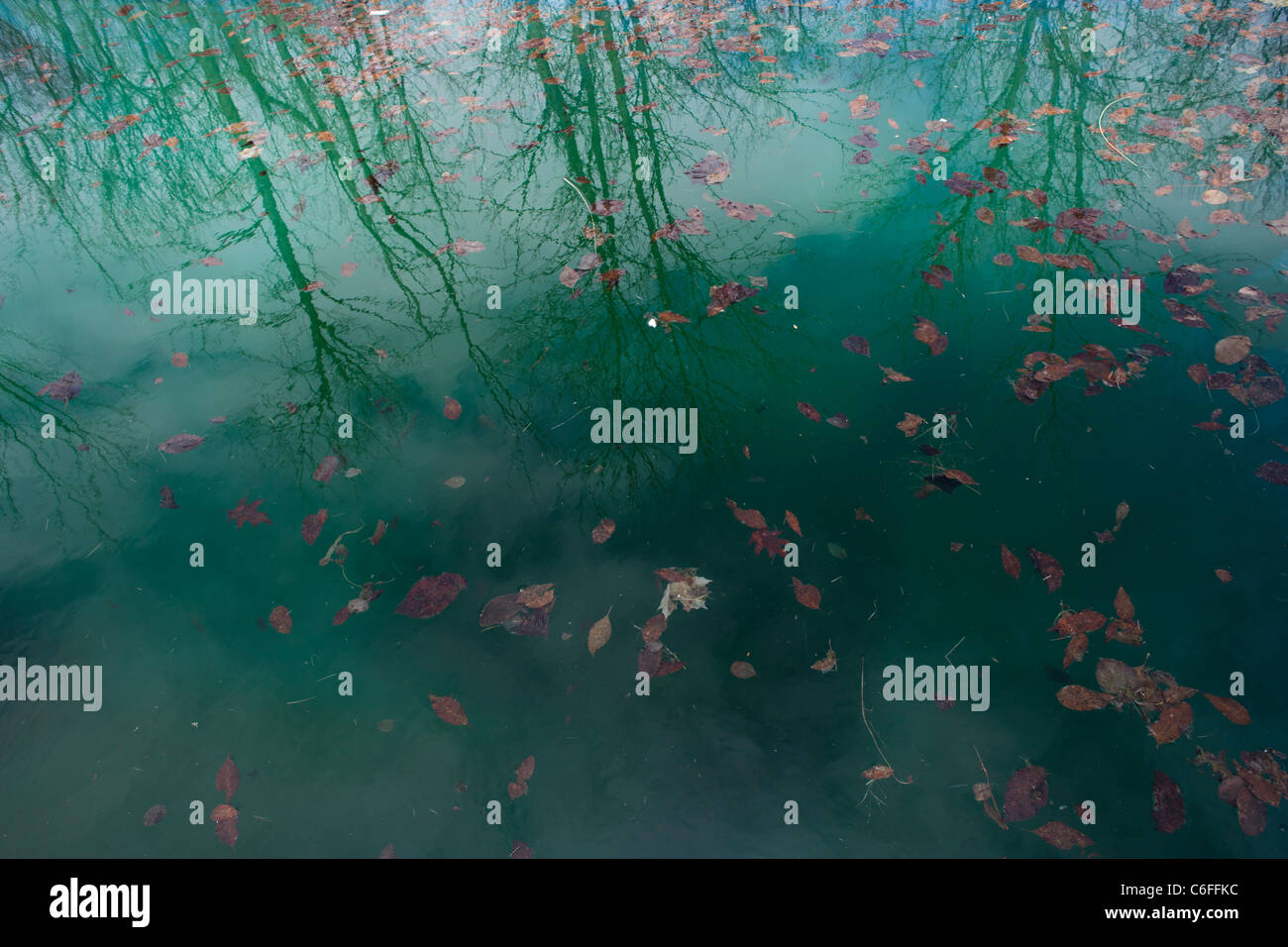 Swimming pool in the Spring Stock Photo - Alamy