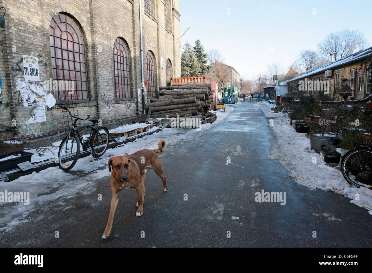 Copenhagen's freetown of Christiania testimony to an alternative way of ...