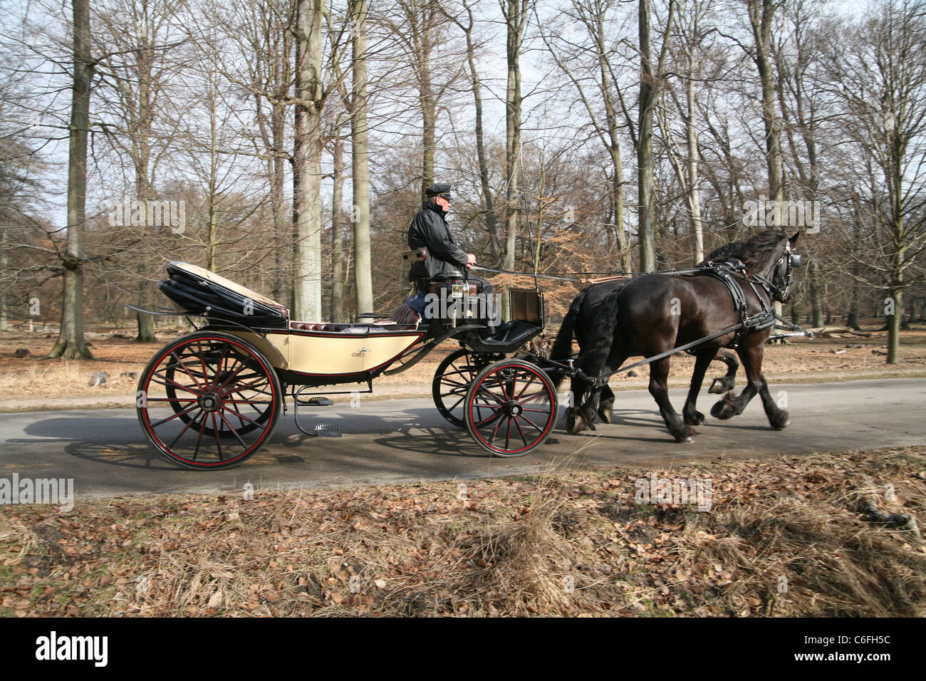 Denmark dyrehaven horse hi-res stock photography and images - Alamy
