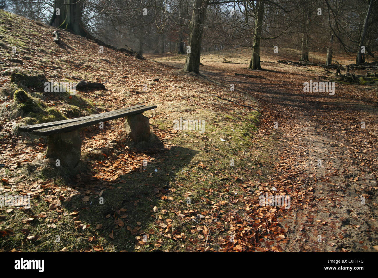 Dyrehaven park near København (Copenhagen) in Denmark Stock Photo - Alamy