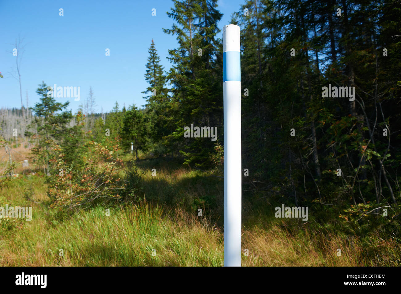 Bavarian Forest National Park, Germany, Czech Republic - Germany ...