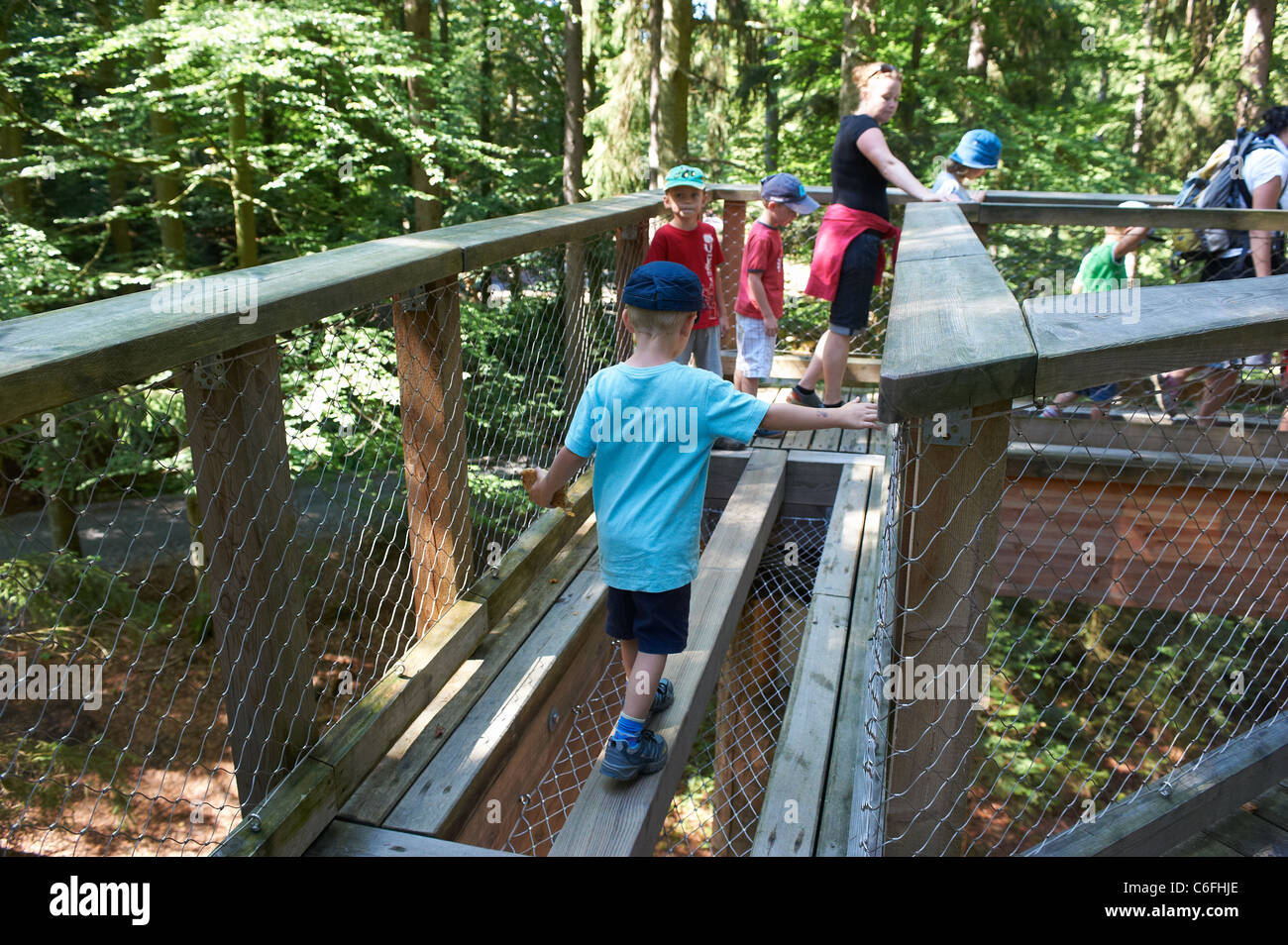 The world´s longest tree top walk - Tree Tower - Bavarian Forest ...