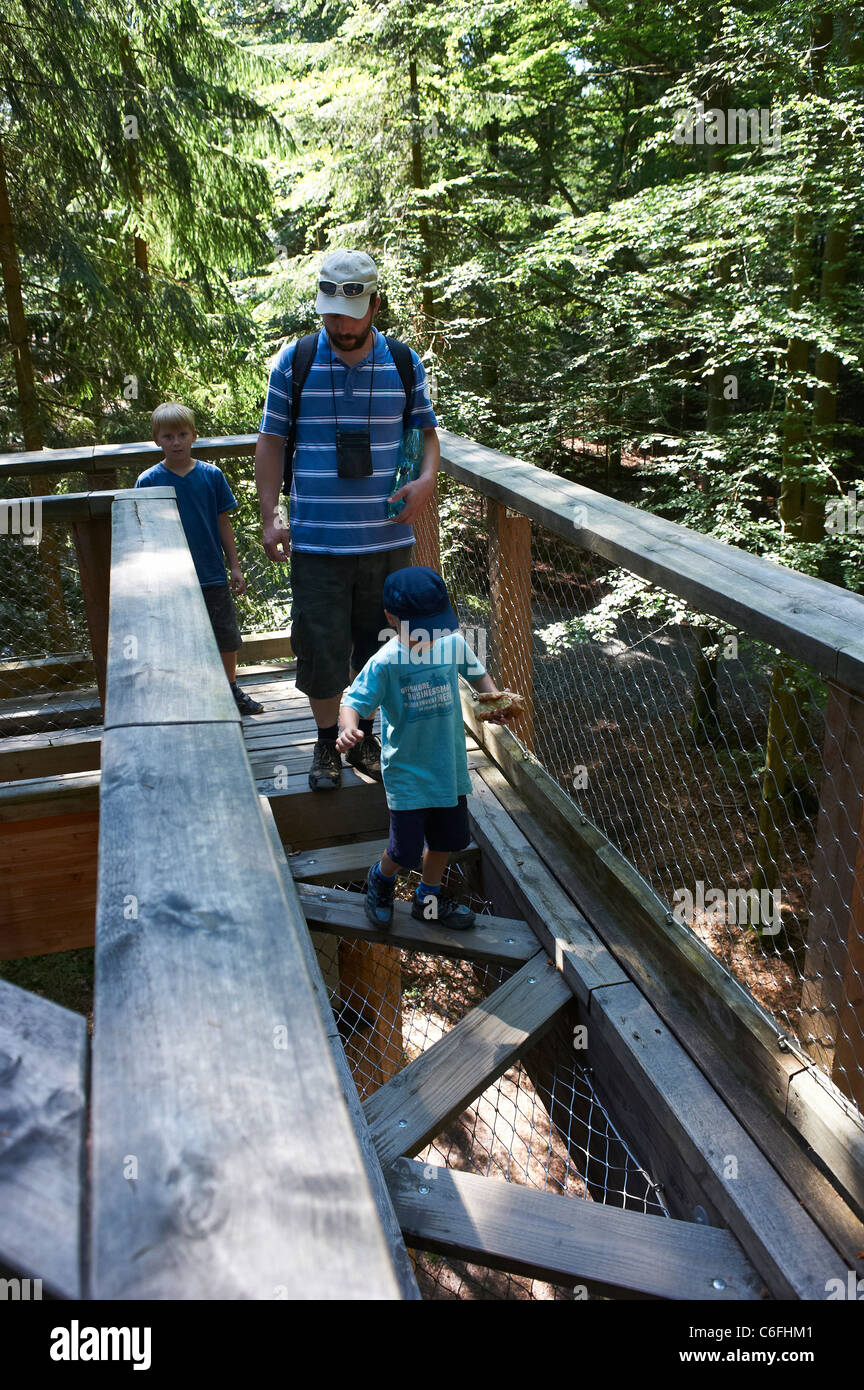 The world´s longest tree top walk - Tree Tower - Bavarian Forest ...