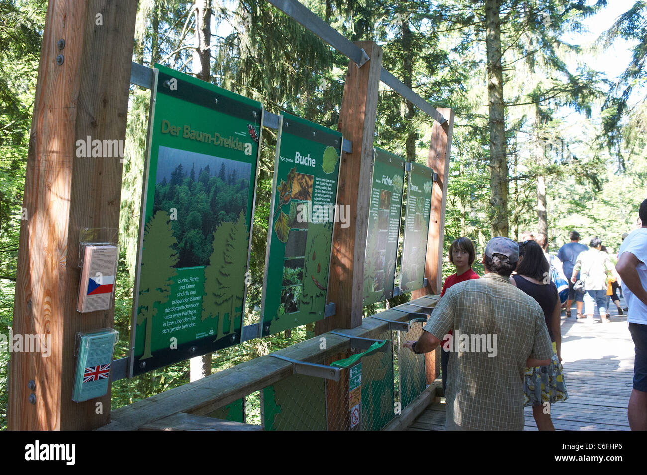 The world´s longest tree top walk - Tree Tower - Bavarian Forest ...