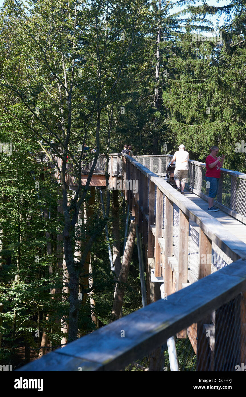The world´s longest tree top walk - Tree Tower - Bavarian Forest ...