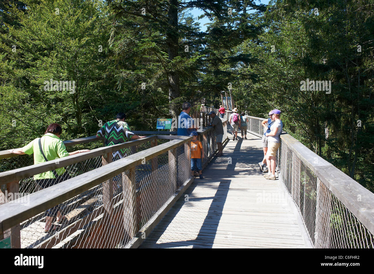 The world´s longest tree top walk - Tree Tower - Bavarian Forest ...