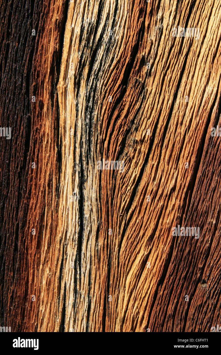 Texture of a weathered wood background wood grain hi-res stock ...
