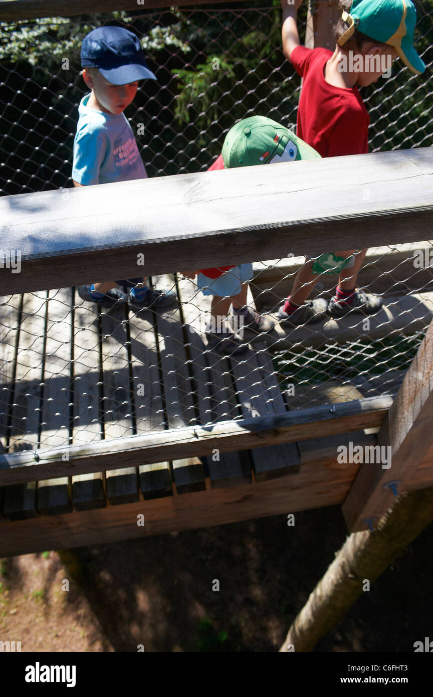 The world´s longest tree top walk - Tree Tower - Bavarian Forest ...