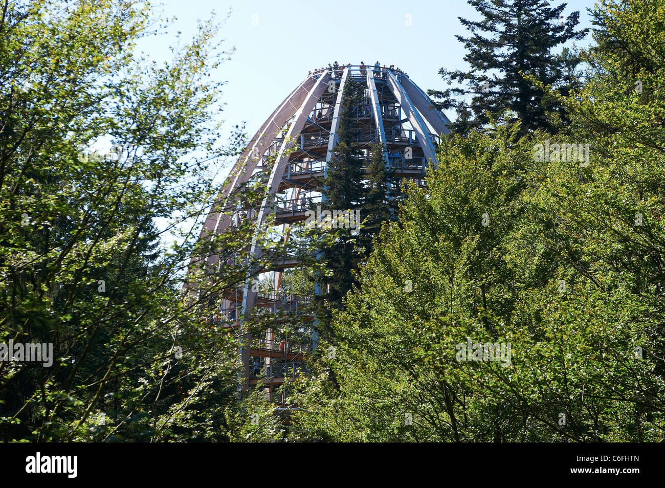 The world´s longest tree top walk - Tree Tower - Bavarian Forest ...