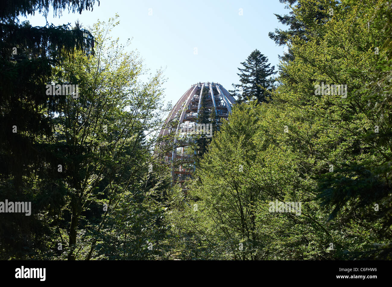 The world´s longest tree top walk - Tree Tower - Bavarian Forest ...