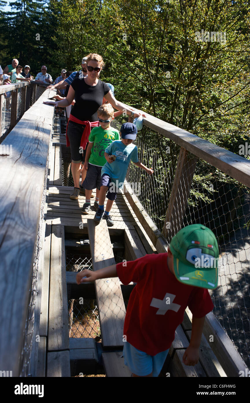 The world´s longest tree top walk - Tree Tower - Bavarian Forest ...