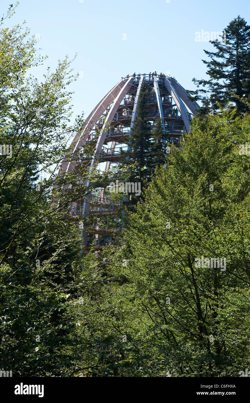 The world´s longest tree top walk - Tree Tower - Bavarian Forest ...