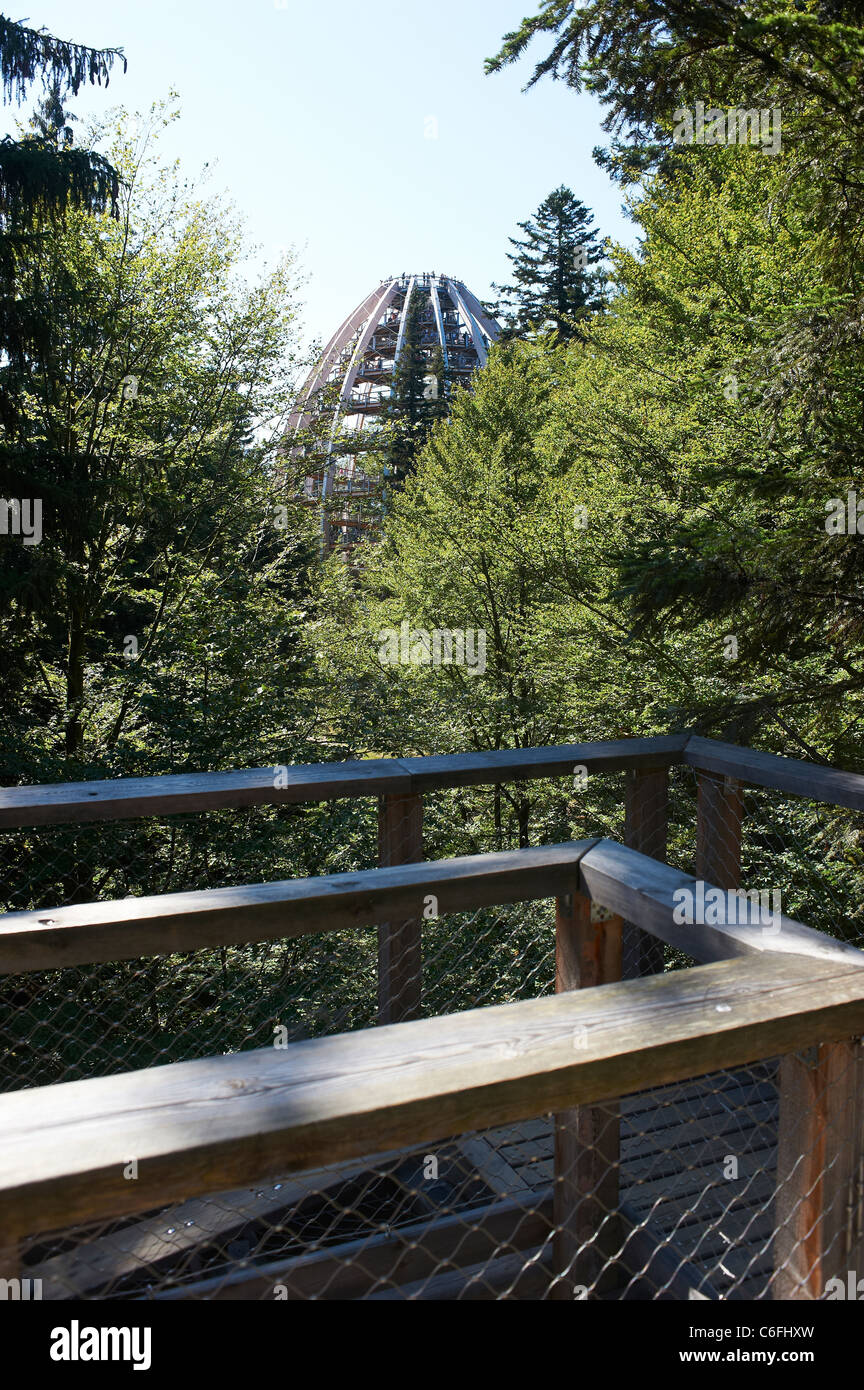 The world´s longest tree top walk - Tree Tower - Bavarian Forest ...