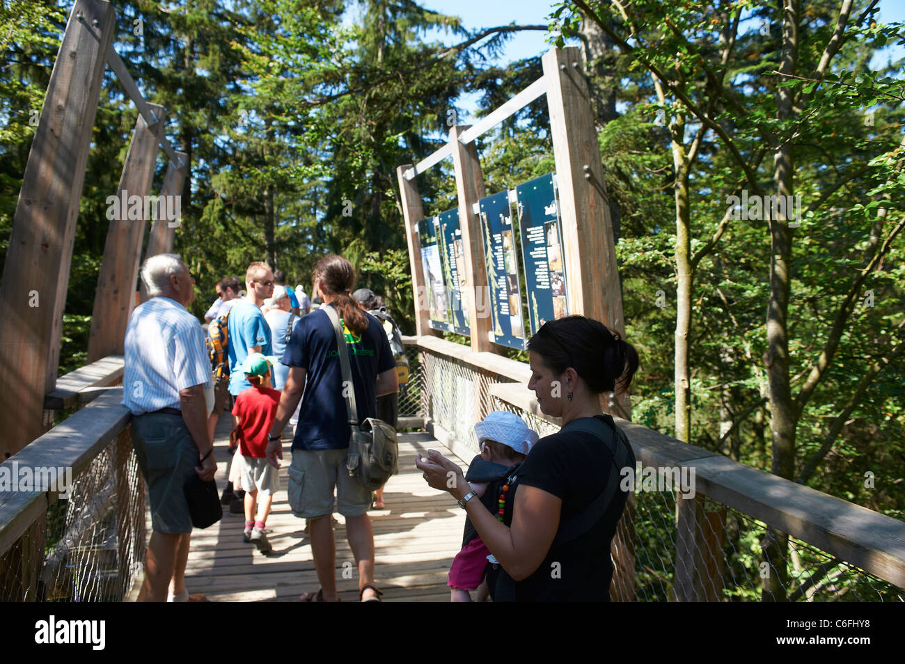 The world´s longest tree top walk - Tree Tower - Bavarian Forest ...