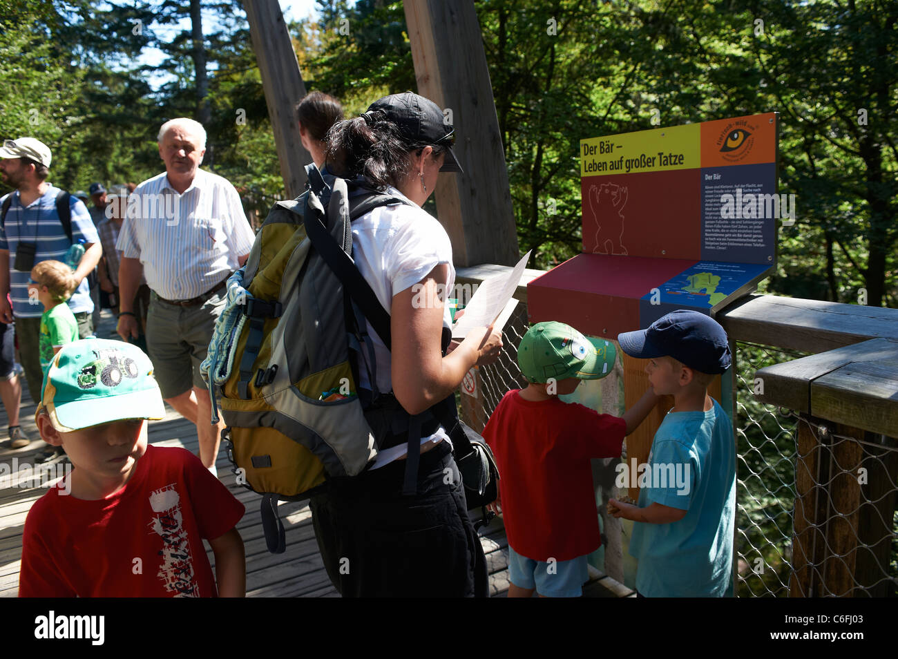 The world´s longest tree top walk - Tree Tower - Bavarian Forest ...