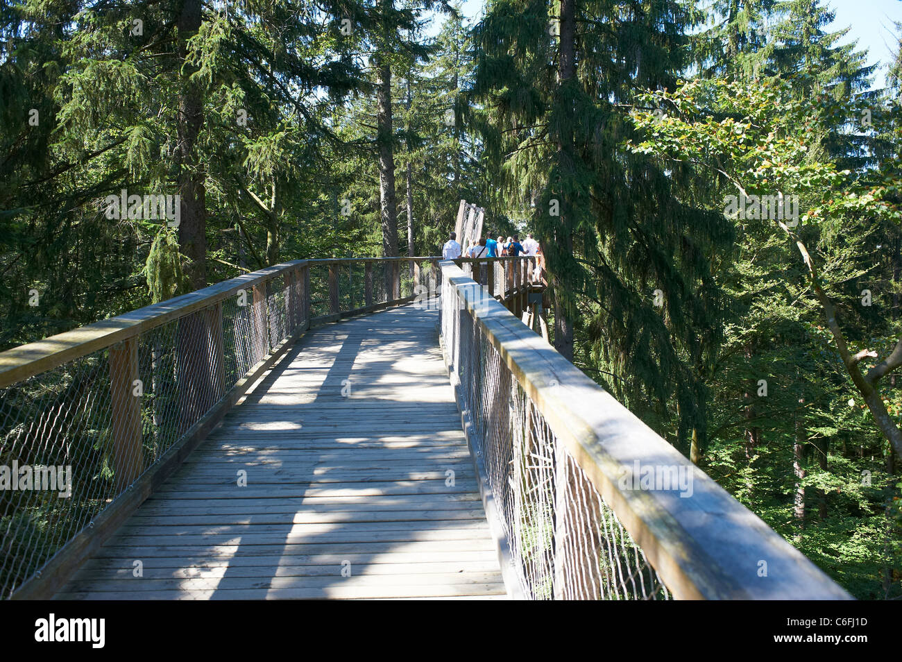 The world´s longest tree top walk - Tree Tower - Bavarian Forest ...