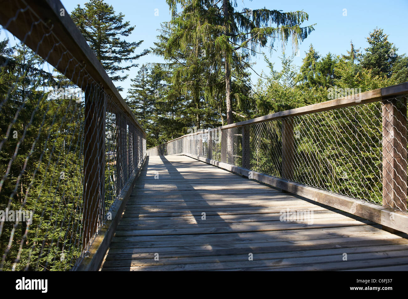 The world´s longest tree top walk - Tree Tower - Bavarian Forest ...