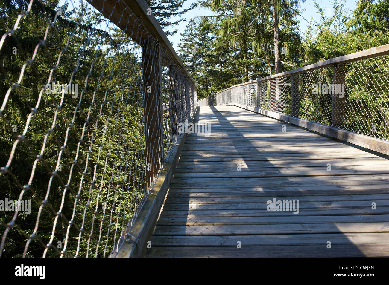 The world´s longest tree top walk - Tree Tower - Bavarian Forest ...
